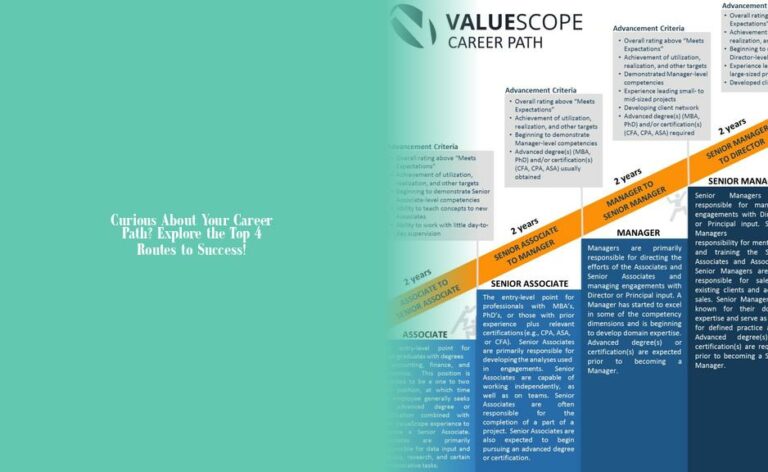 What are the 4 main career pathways to consider for your professional ...