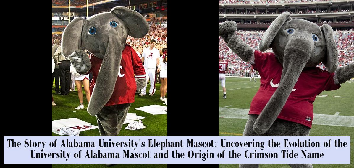 The Story of Alabama University's Elephant Mascot: Uncovering the ...