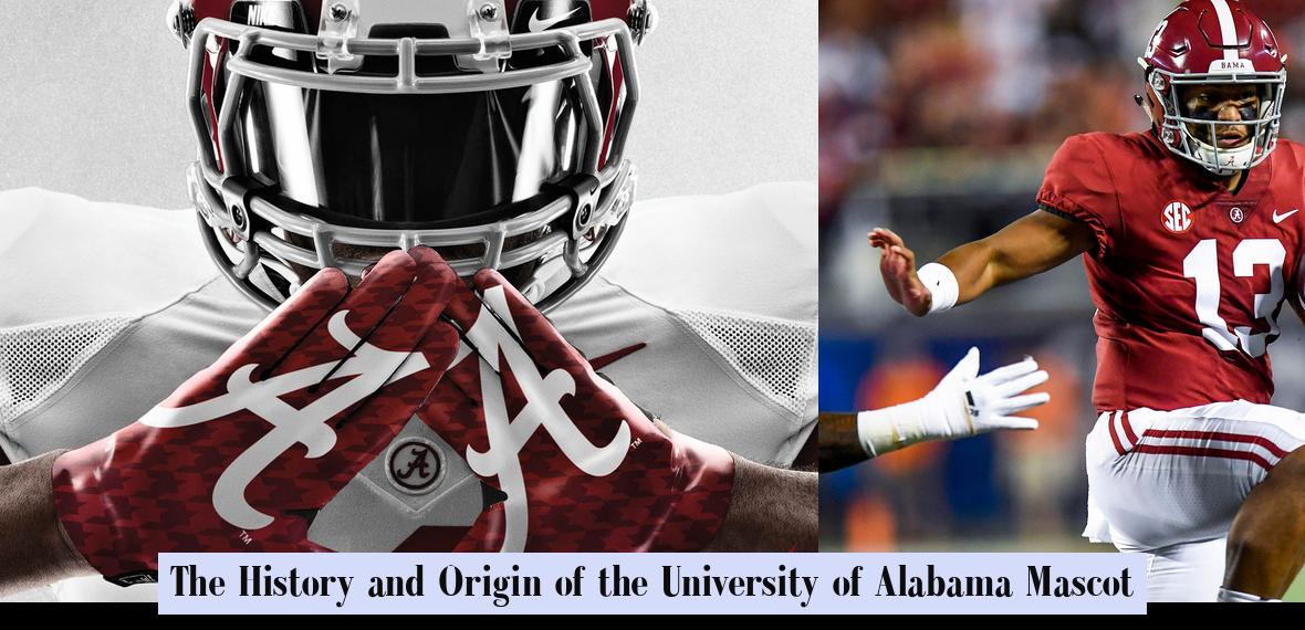 The History and Origin of the University of Alabama Mascot - JobLoving ...