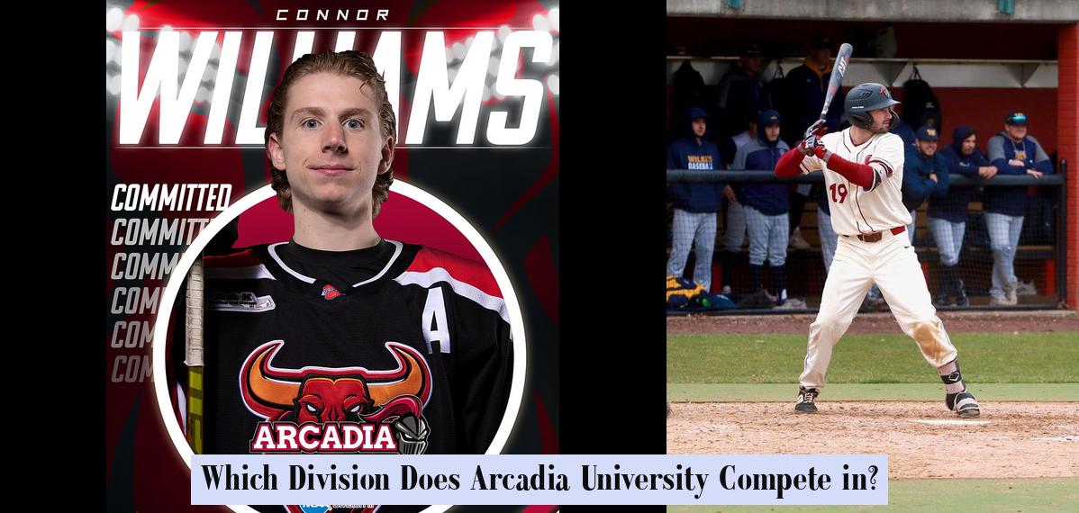 Which Division Does Arcadia University Compete in? - JobLoving ...