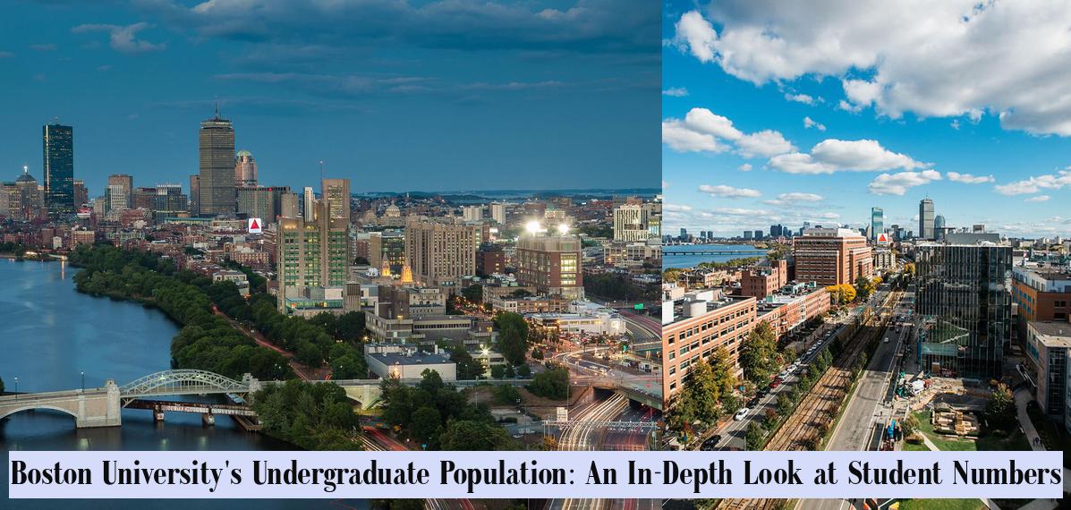 Boston University's Undergraduate Population: An In-Depth Look at ...