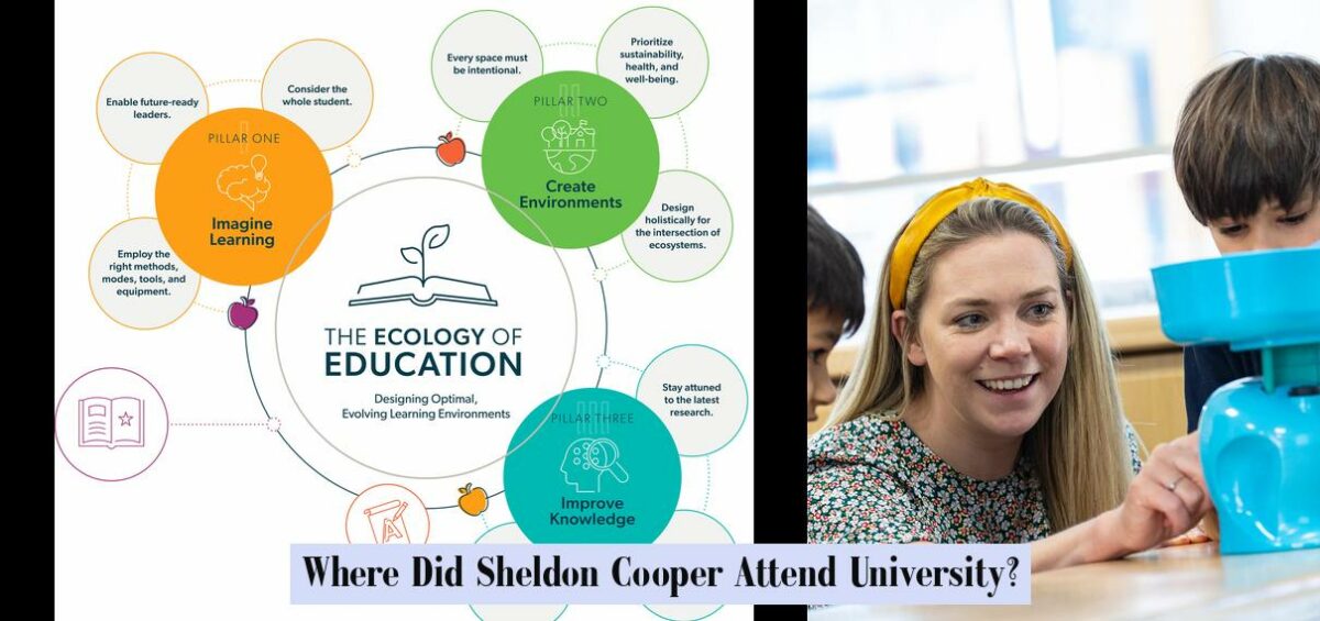 Where Did Sheldon Cooper Attend University? - JobLoving | Ultimate ...