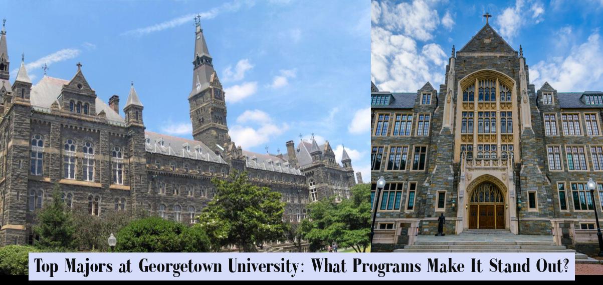 Top Majors at Georgetown University: What Programs Make It Stand Out ...