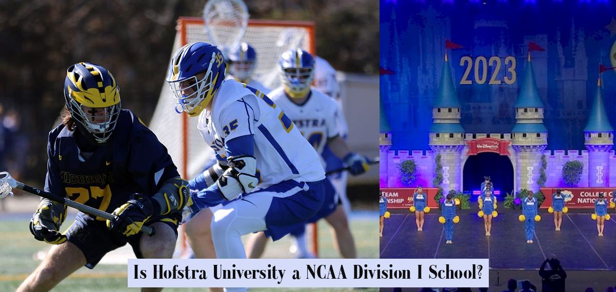Is Hofstra University a NCAA Division I School? - JobLoving | Ultimate ...