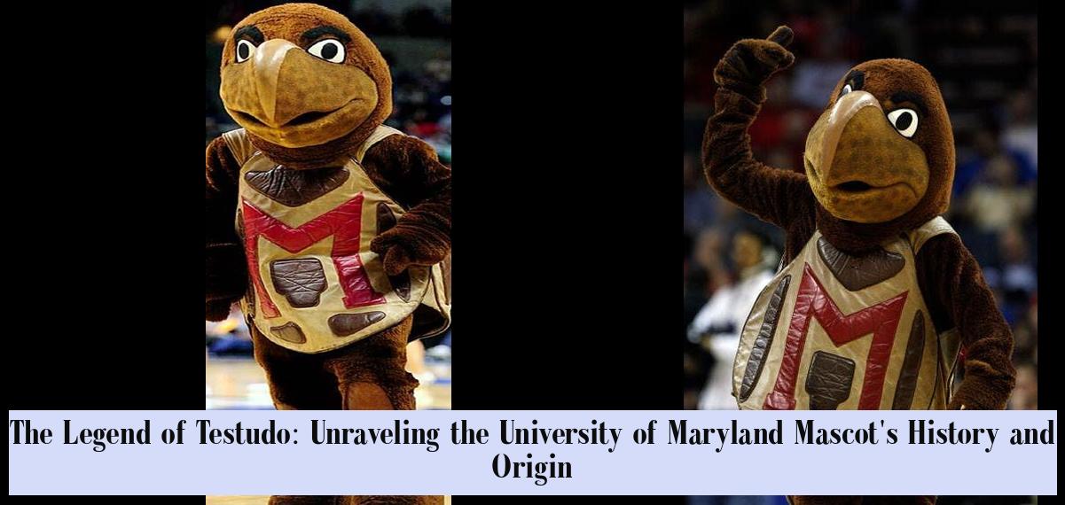The Legend of Testudo: Unraveling the University of Maryland Mascot's ...