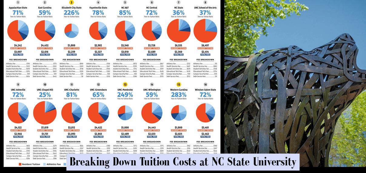 Breaking Down Tuition Costs at NC State University - JobLoving ...