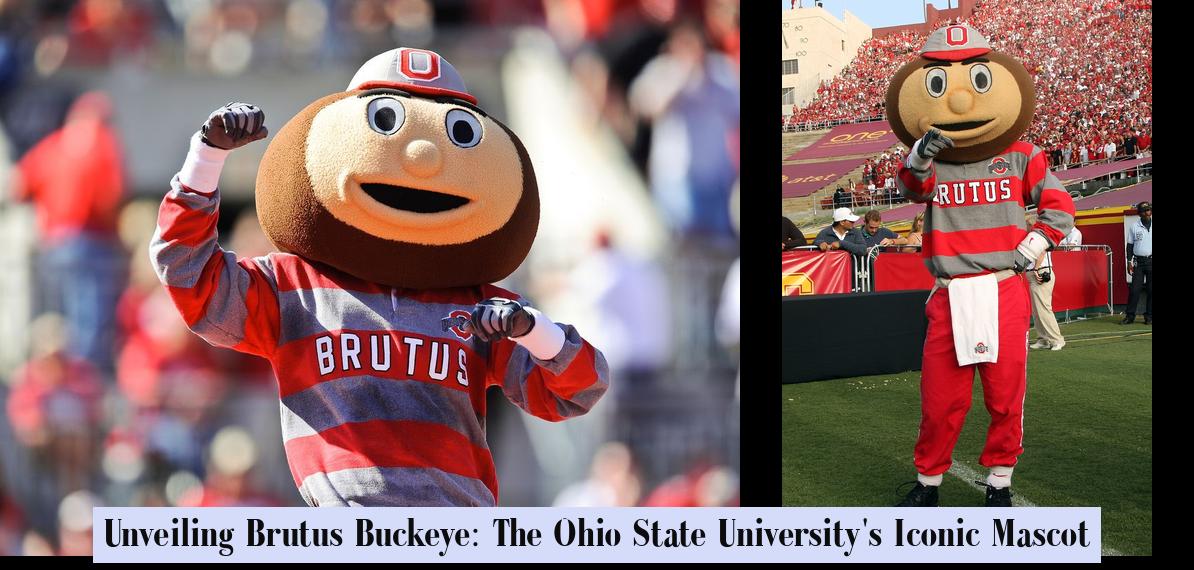 Unveiling Brutus Buckeye: The Ohio State University's Iconic Mascot ...