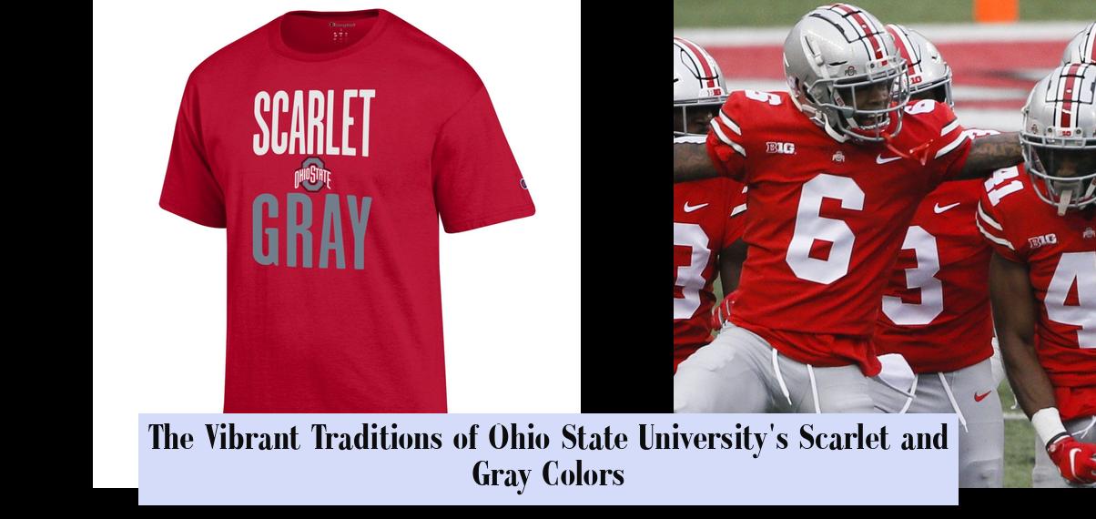 The Vibrant Traditions of Ohio State University's Scarlet and Gray ...