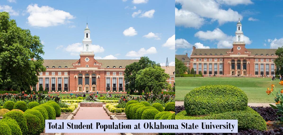 Total Student Population at Oklahoma State University - JobLoving ...