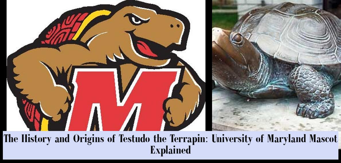 The History and Origins of Testudo the Terrapin: University of Maryland ...
