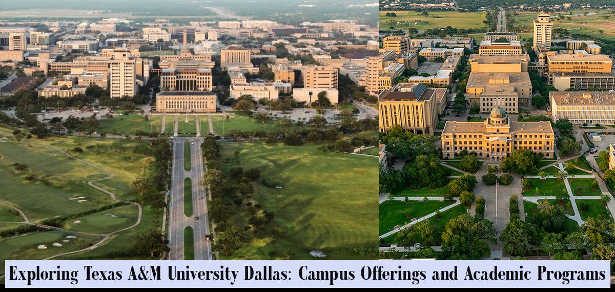 Exploring Texas A&M University Dallas: Campus Offerings and Academic ...