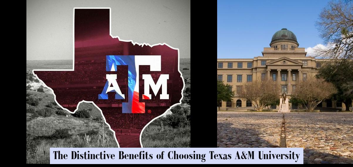 The Distinctive Benefits of Choosing Texas A&M University - JobLoving ...