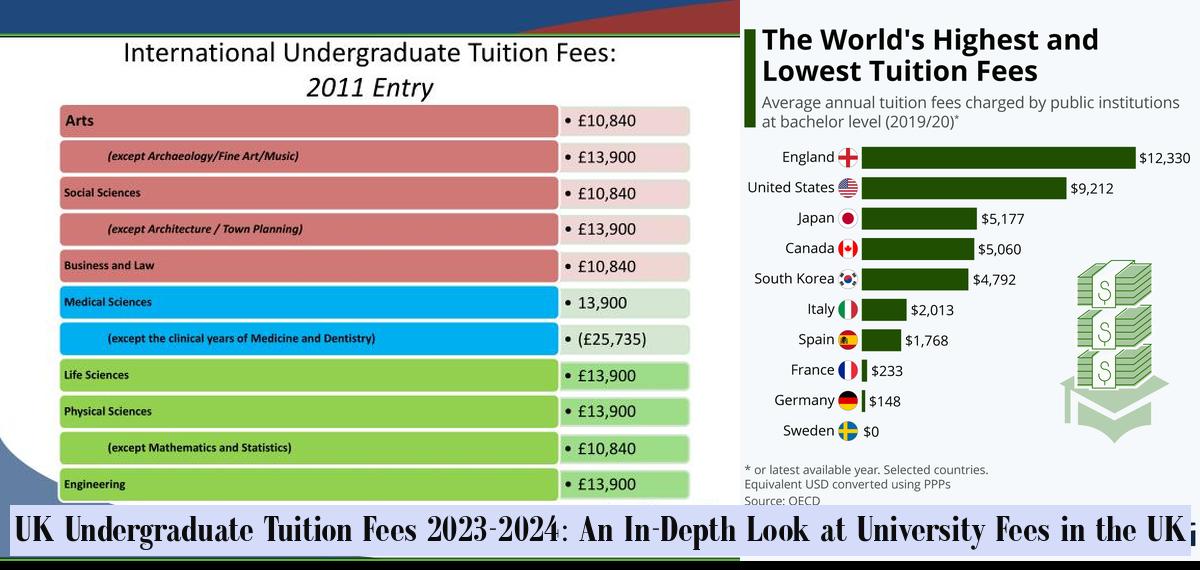 UK Undergraduate Tuition Fees 2023-2024: An In-Depth Look at University ...