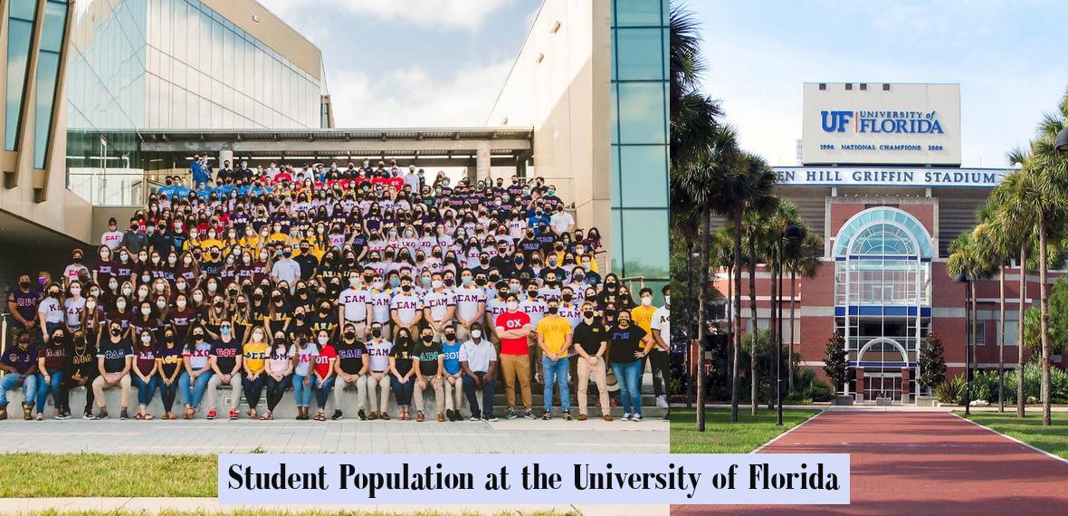 Student Population at the University of Florida - JobLoving | Ultimate ...