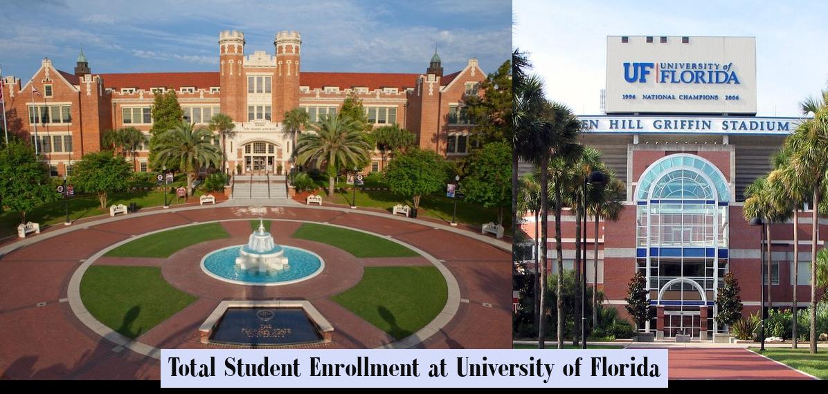 Total Student Enrollment at University of Florida - JobLoving ...