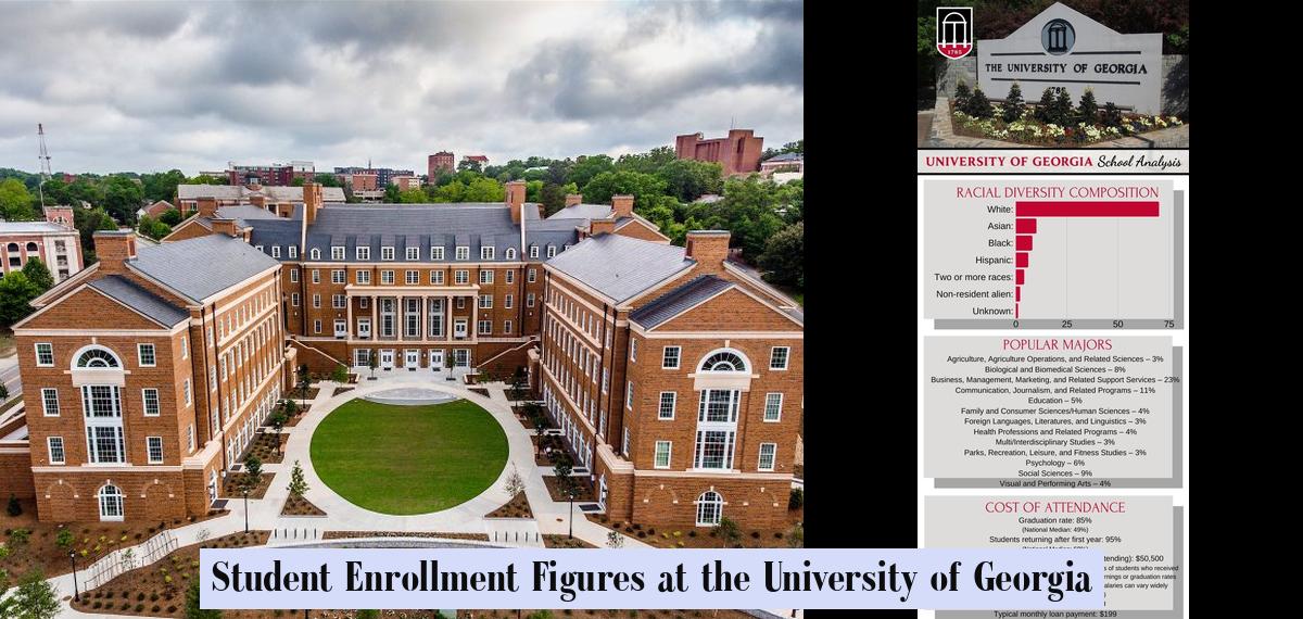 Student Enrollment Figures at the University of Georgia - JobLoving ...