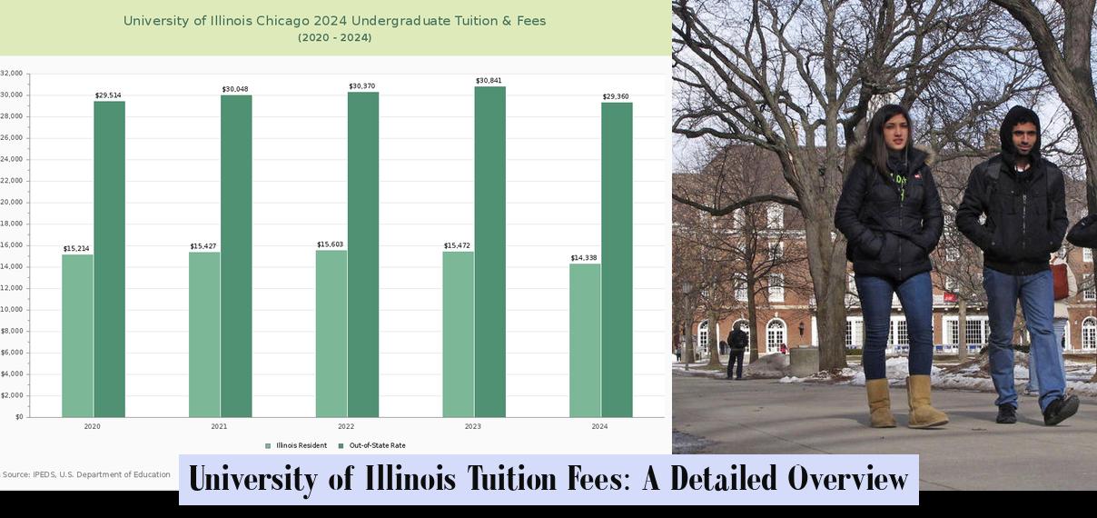 University of Illinois Tuition Fees: A Detailed Overview - JobLoving ...
