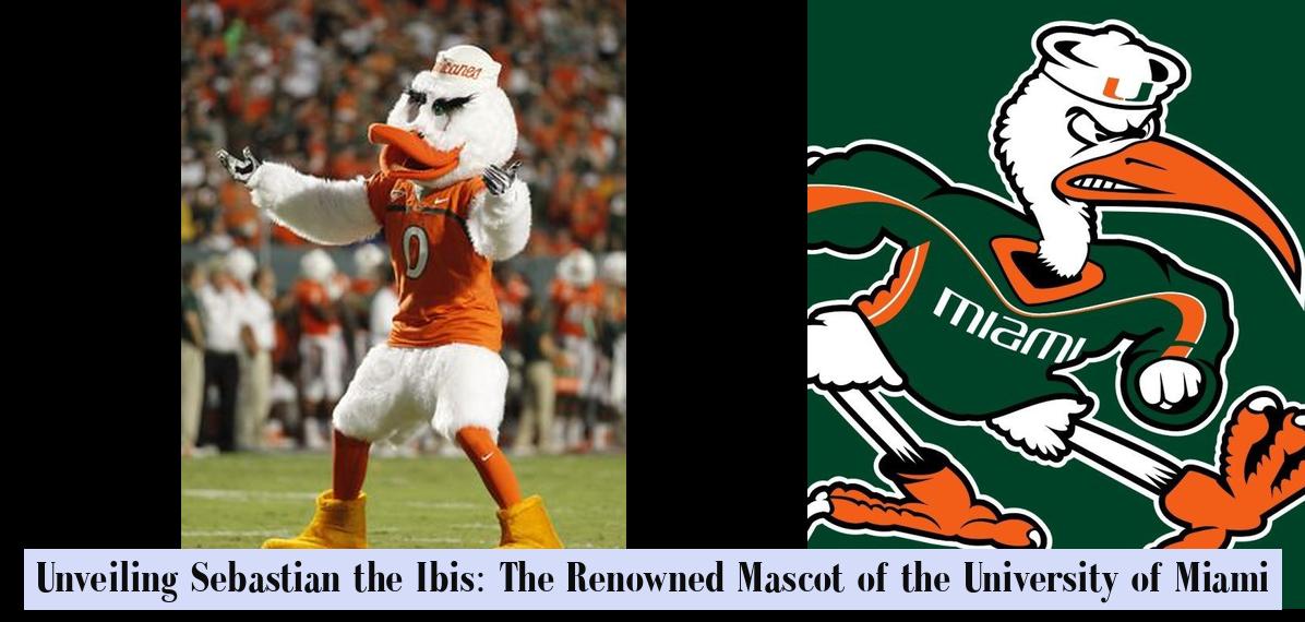 Unveiling Sebastian the Ibis: The Renowned Mascot of the University of ...