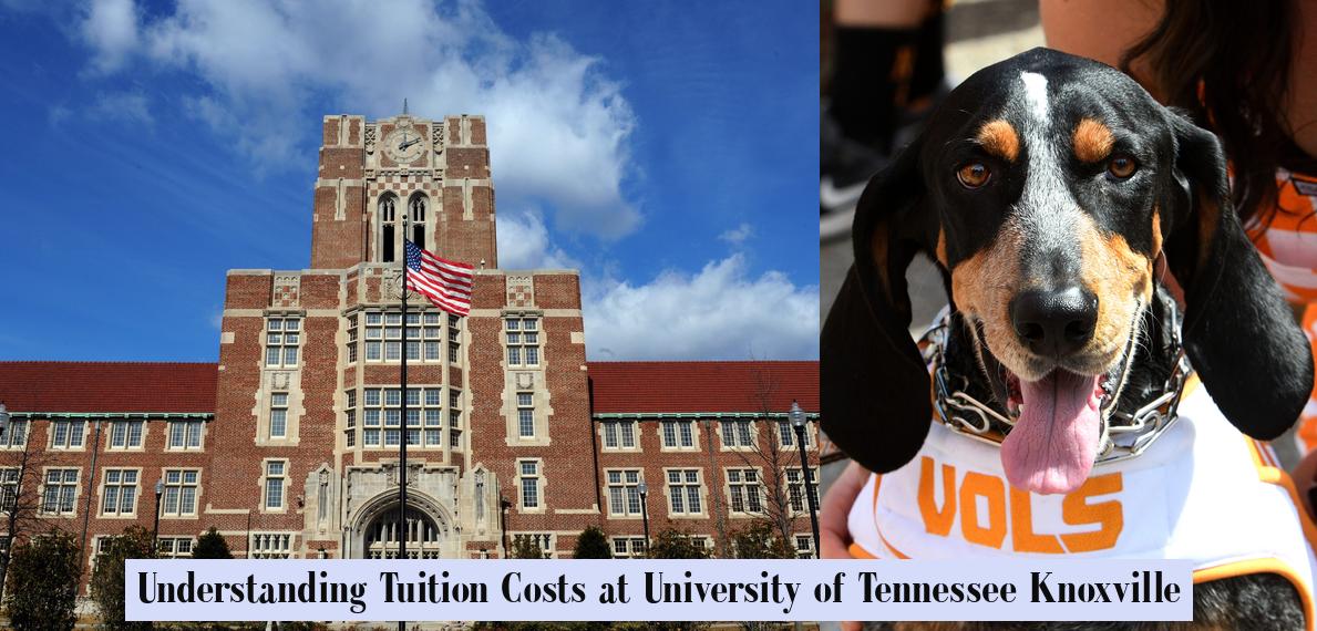 Understanding Tuition Costs at University of Tennessee Knoxville ...