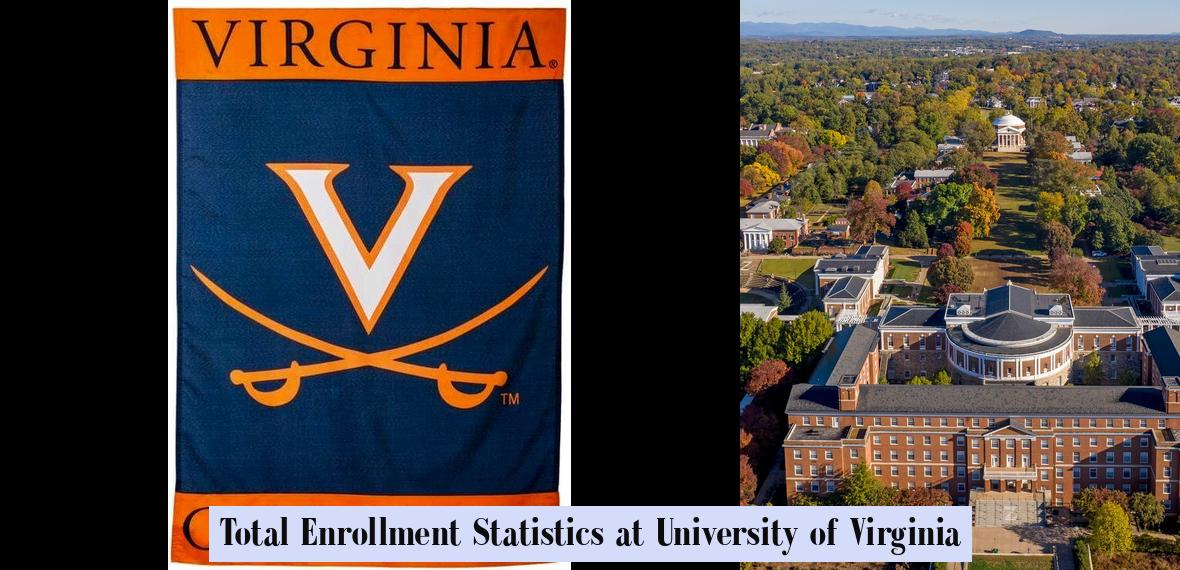 Total Enrollment Statistics at University of Virginia - JobLoving ...