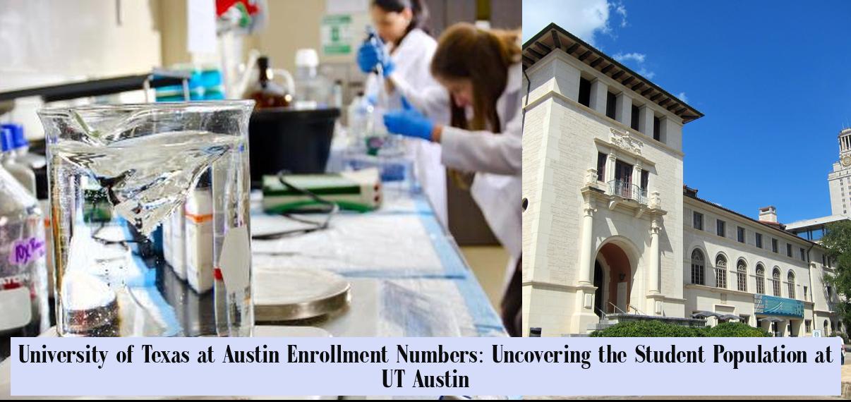 University of Texas at Austin Enrollment Numbers: Uncovering the ...