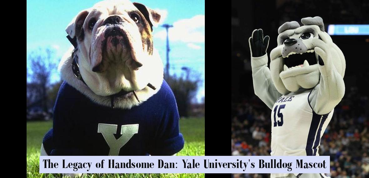 The Legacy of Handsome Dan: Yale University's Bulldog Mascot ...